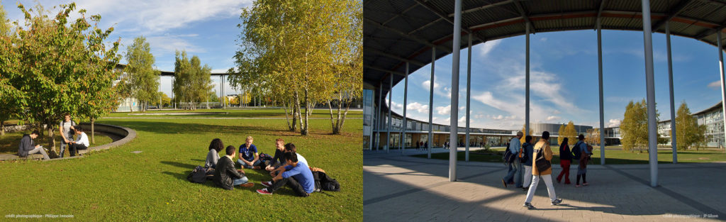 Vers l'harmonisation des processus grâce au nouveau SI - Auriga